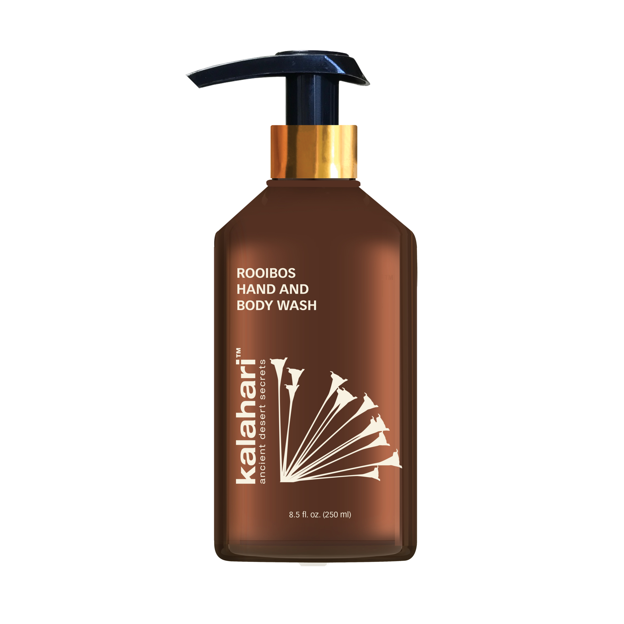 Kalahari Body & Spa - Franck Global